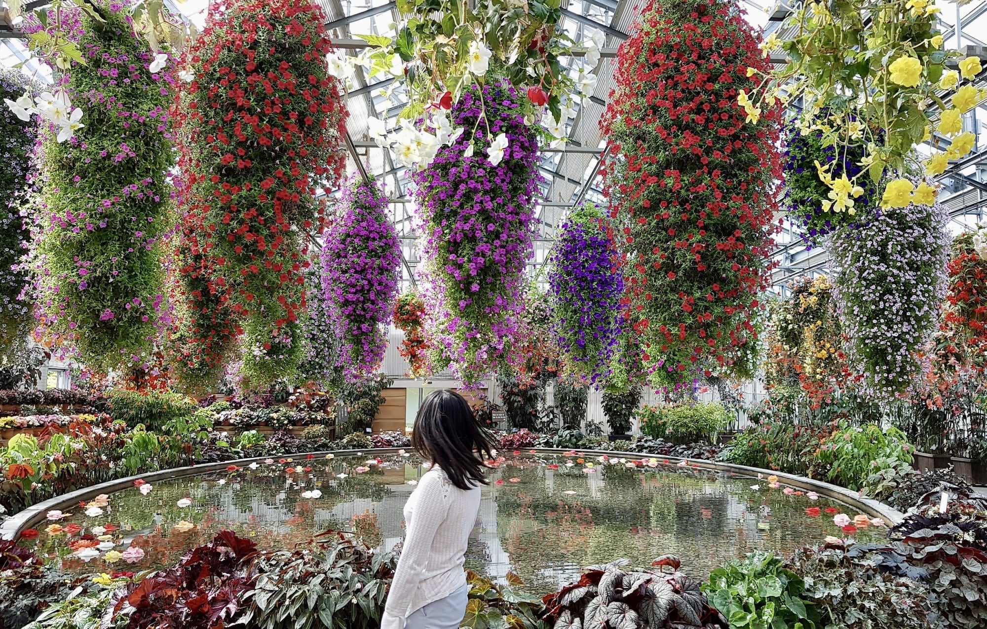 12 Brilliant Flowers for Every Season in Japan – Japan Trip Tips