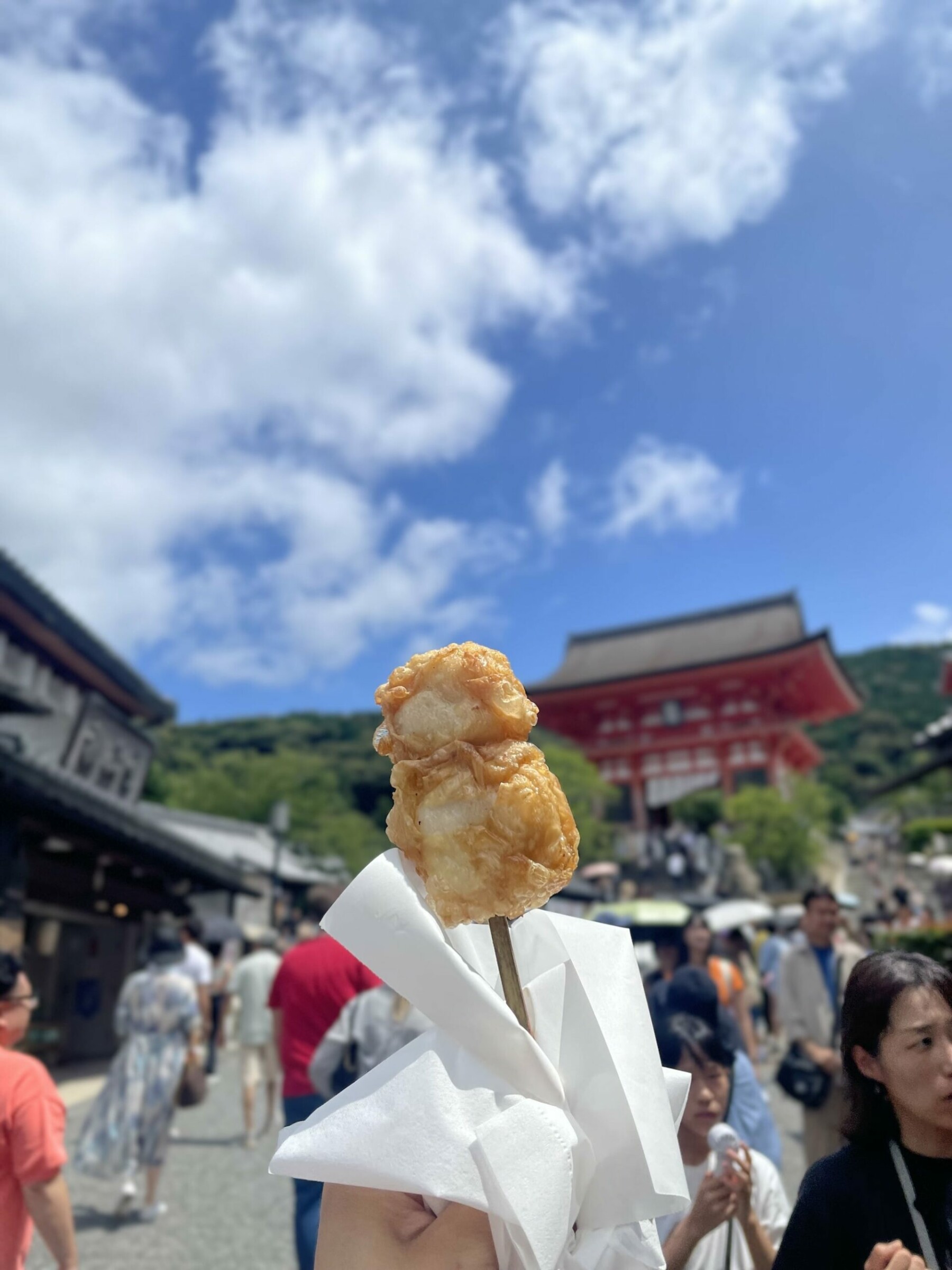 6 Local Kyoto Foods You Must Try – Japan Trip Tips