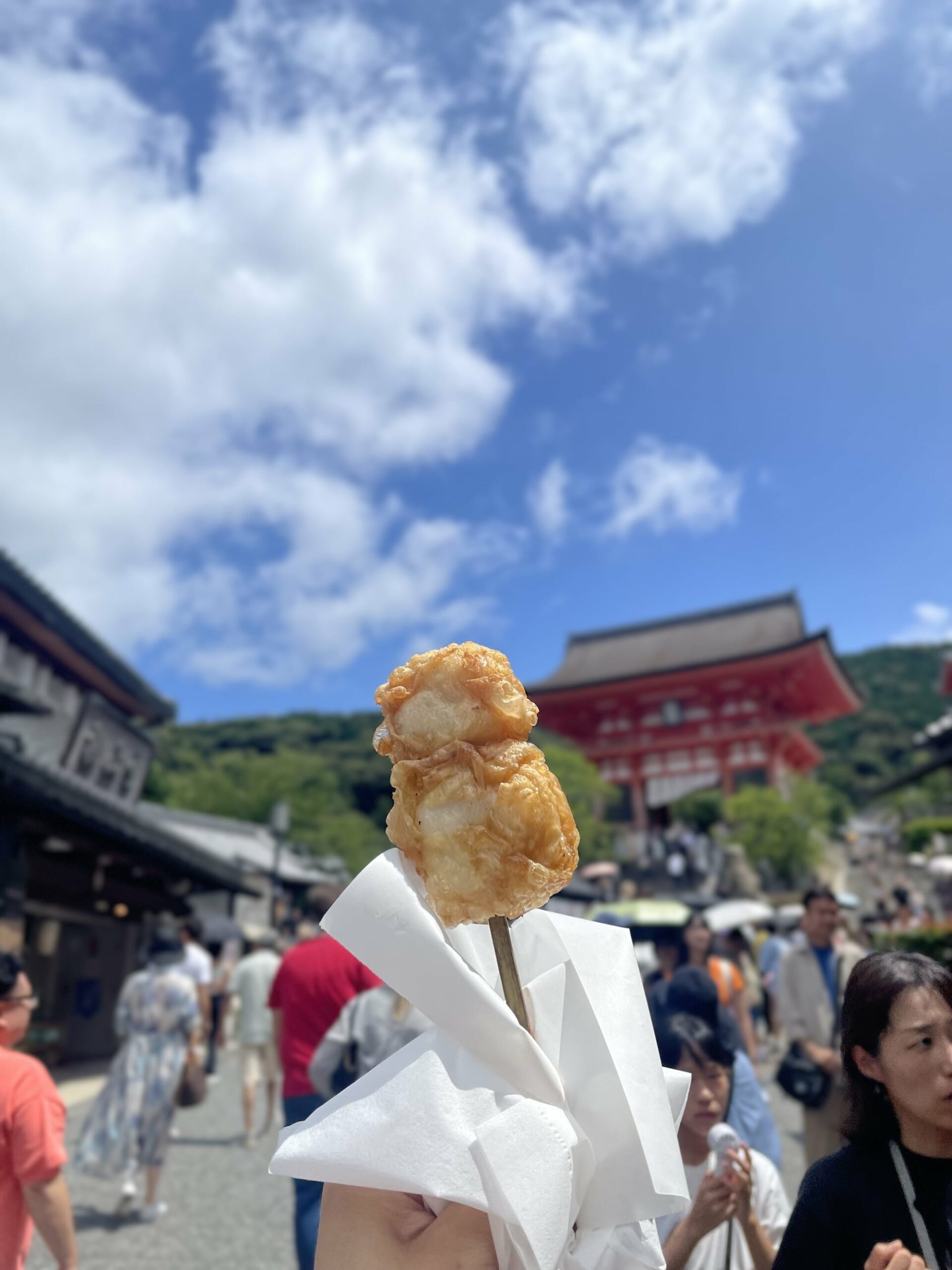 6 Local Kyoto Foods You Must Try – Japan Trip Tips